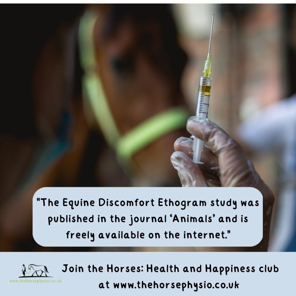 How to understand what your horse is telling you - The Horse Physio ...