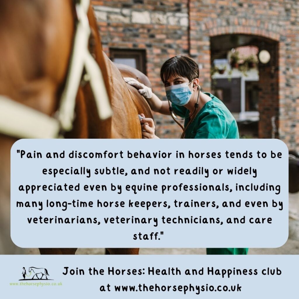 How to understand what your horse is telling you - The Horse Physio ...