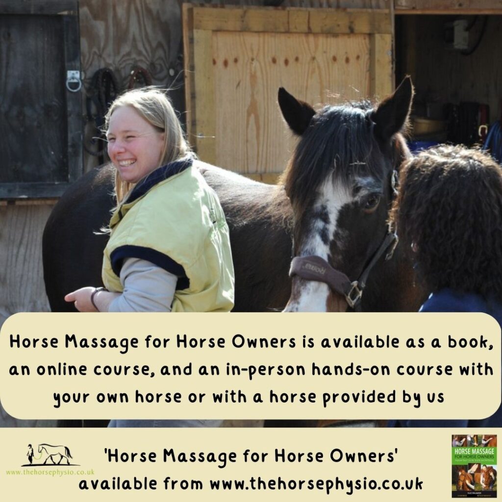 How To Massage (Your Horse): Introduction - The Horse Physio - Sue Palmer