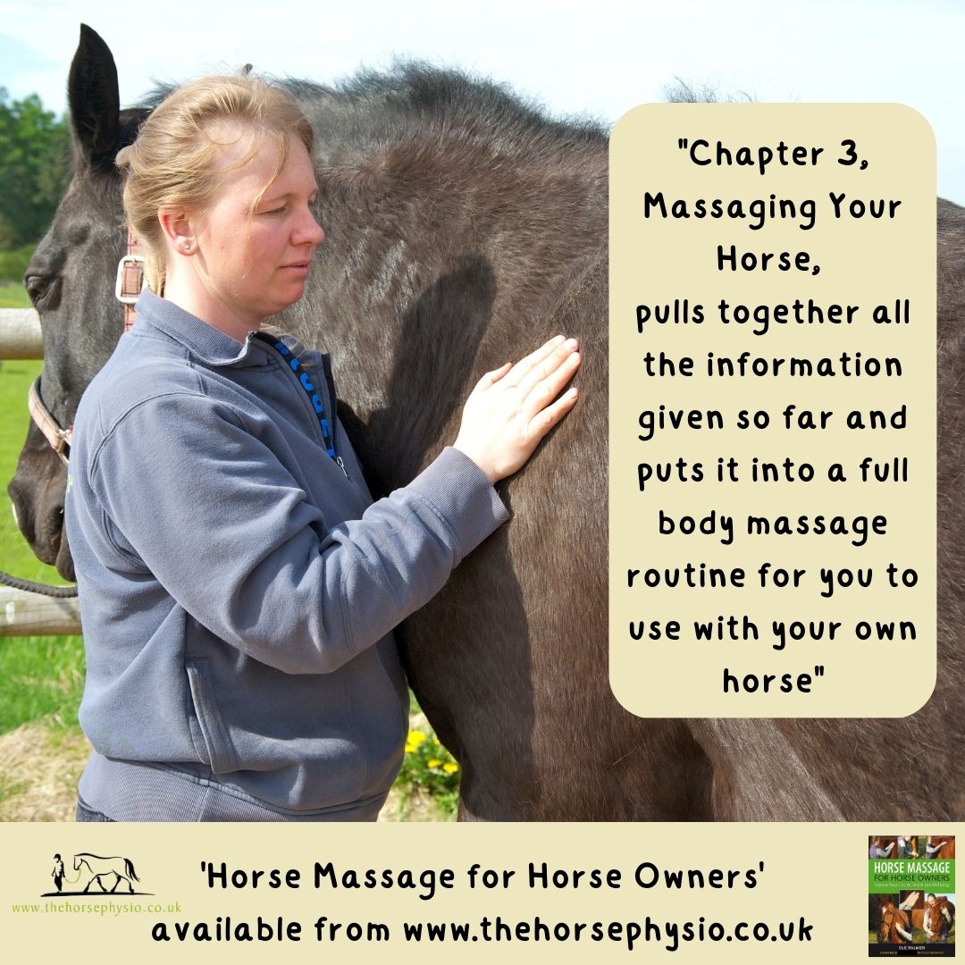How To Massage (Your Horse): Introduction - The Horse Physio - Sue Palmer