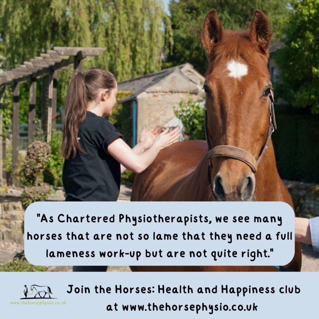 Is Your Horse A Pain In The Neck? - The Horse Physio - Sue Palmer