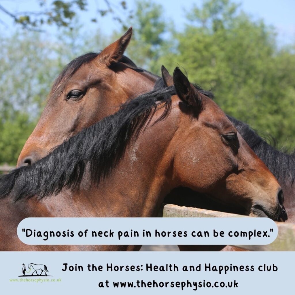 Is Your Horse A Pain In The Neck? - The Horse Physio - Sue Palmer