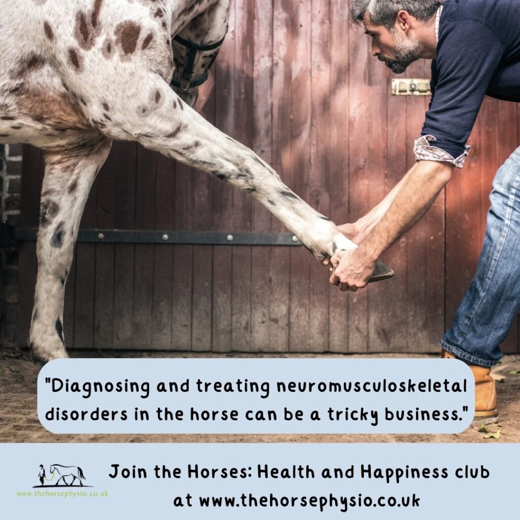 Does thoracic outlet syndrome exist in horses? Part 1 - The Horse ...