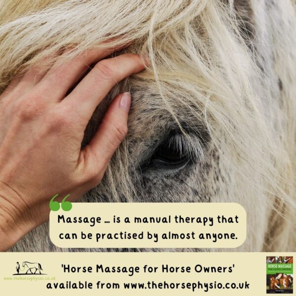 How To Massage (Your Horse): What Is Massage? - The Horse Physio - Sue Palmer