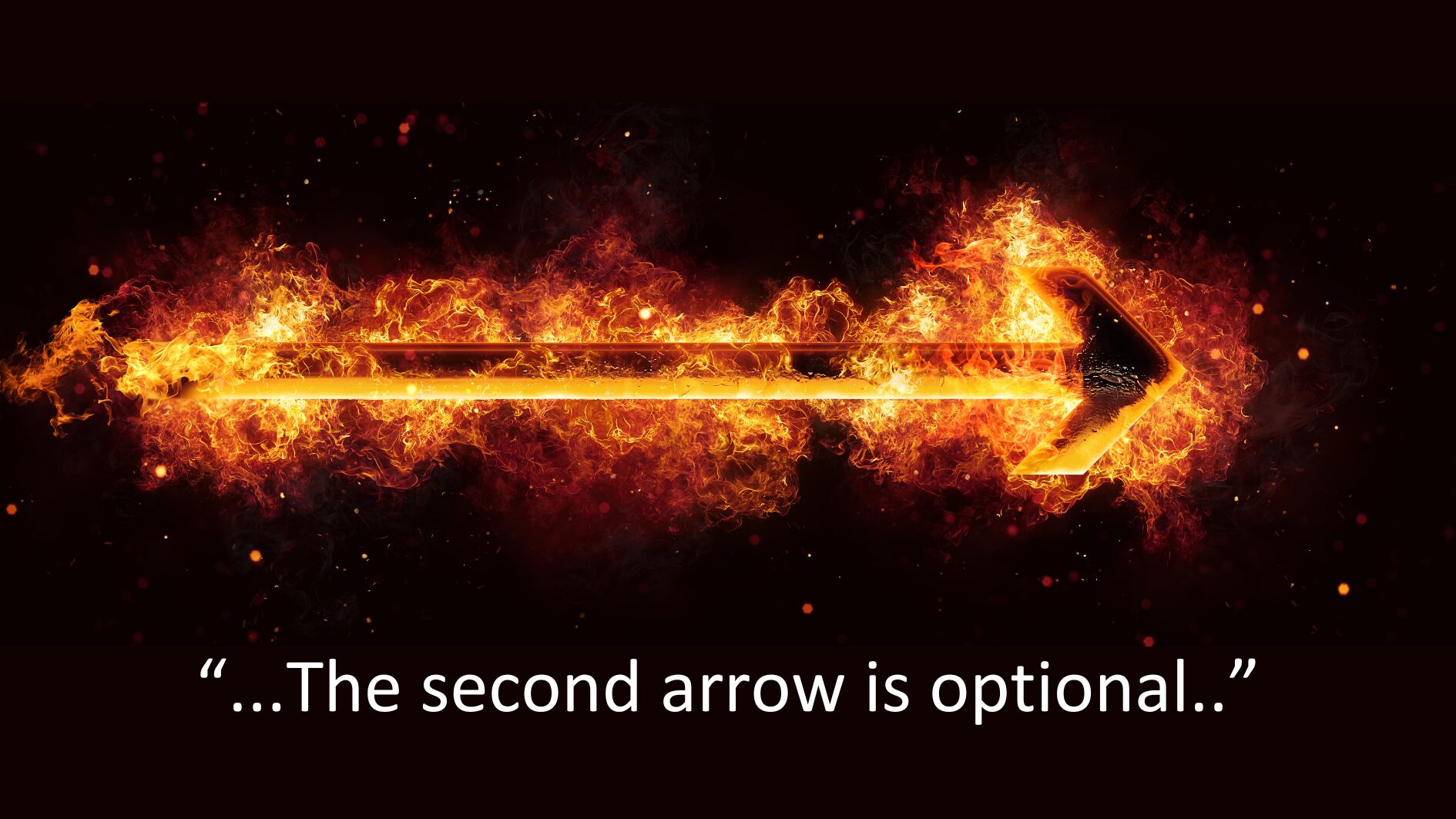 Would your horse choose to be with you? - The Horse Physio - Sue Palmer