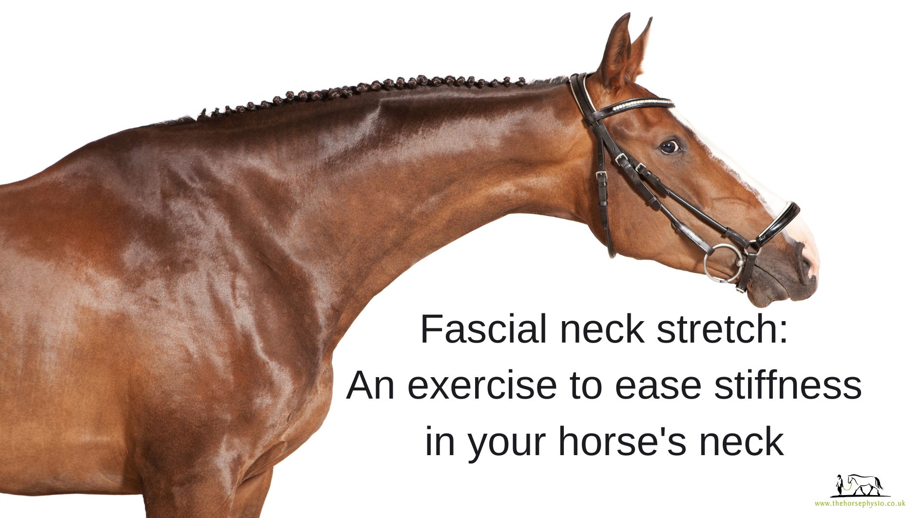 The Ridden Horse Pain Ethogram: A Tool for Equine Wellness and Performance - The Horse Physio ...