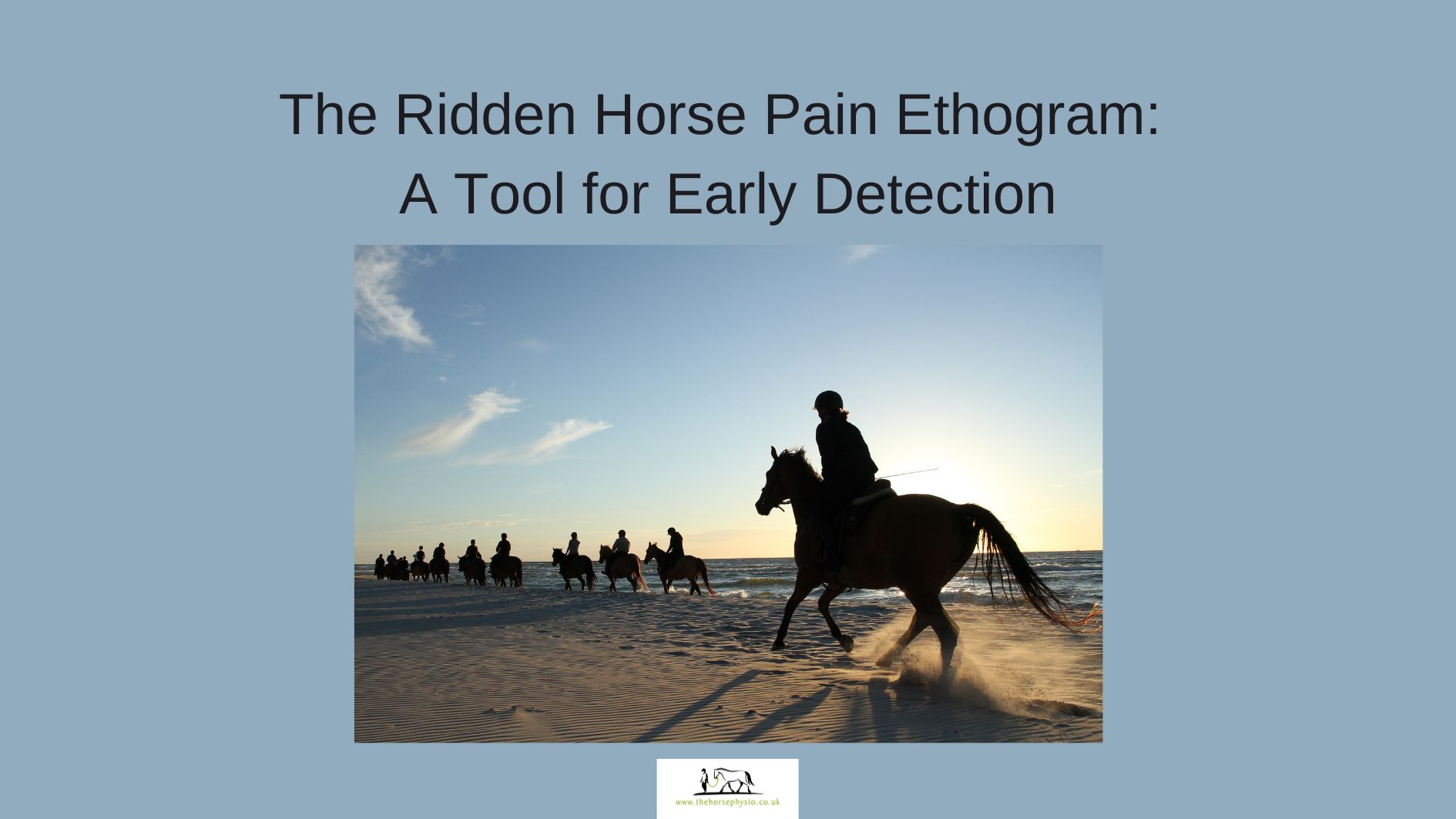 Why Recognising Pain in Our Horses is Essential - The Horse Physio ...